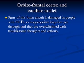 OCD Biological explanations A2 | PPTX
