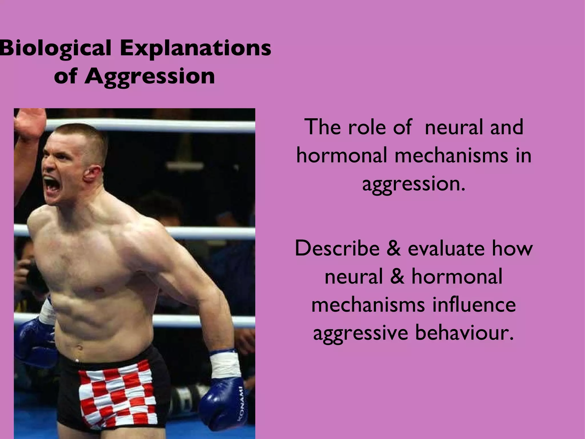 Biological explanations of aggression | PPT