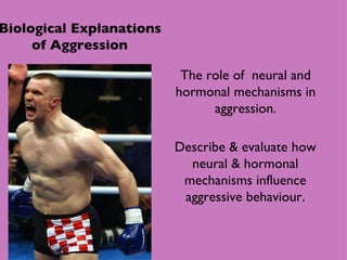 Biological explanations of aggression | PPT