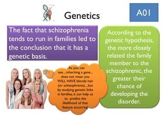 Biological explanations of schizophrenia | PDF