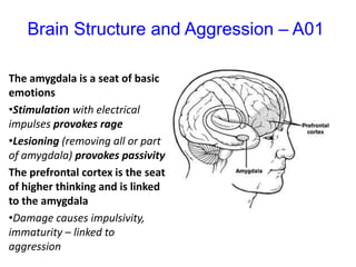 Biological expl of aggression | PPTX