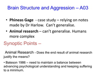 Biological expl of aggression | PPTX