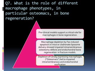Biological factors involved in alveolar bone regeneration. Consensus ...