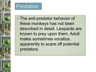 Biological factors that influence ex conservation of narsalis lavartus ...