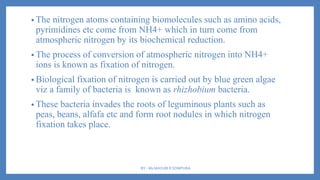 Biological fixation of nitrogen | PPT