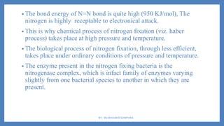 Biological fixation of nitrogen | PPT