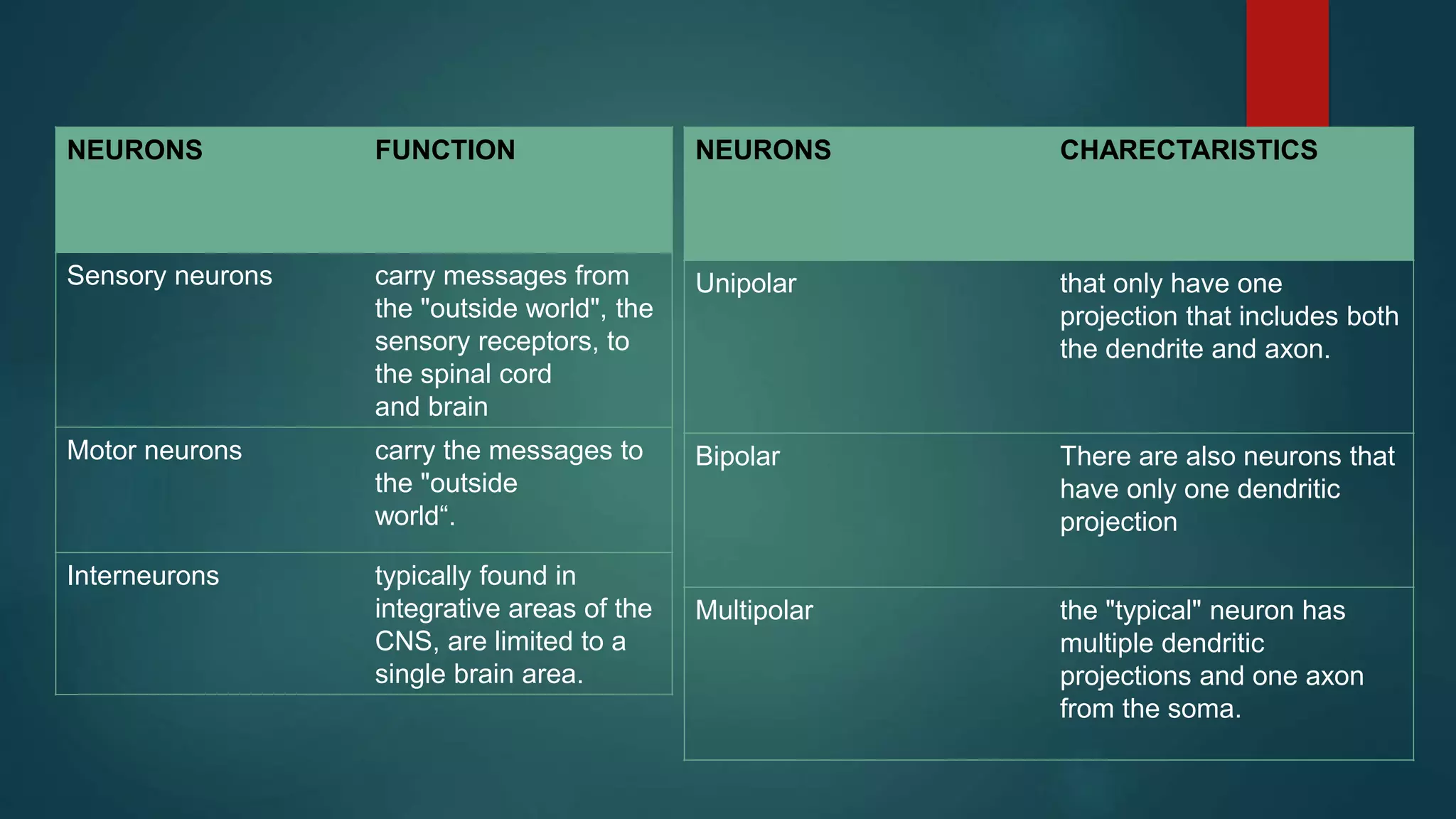 Biological foundation of behaviour.pptx