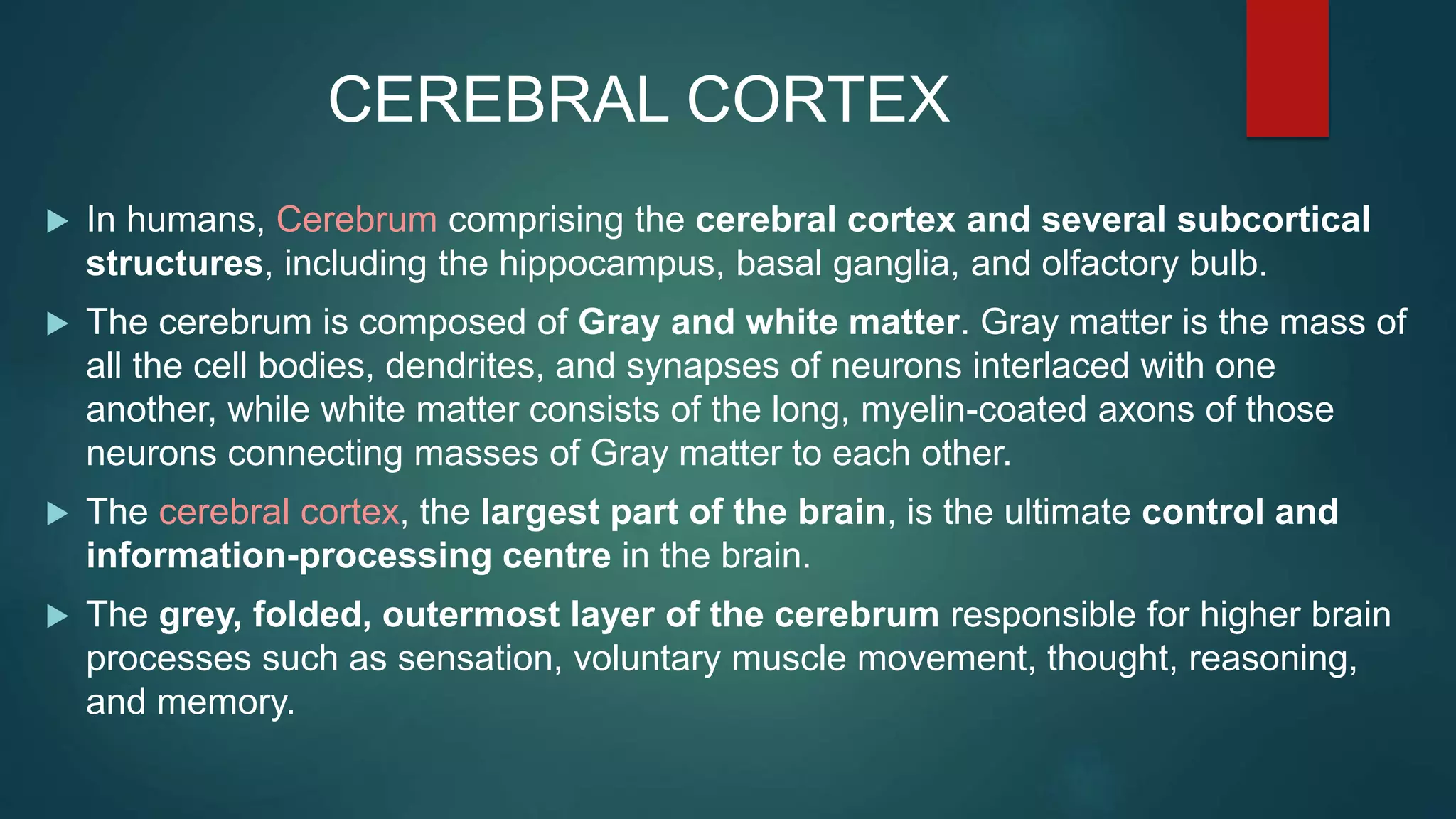 Biological foundation of behaviour.pptx