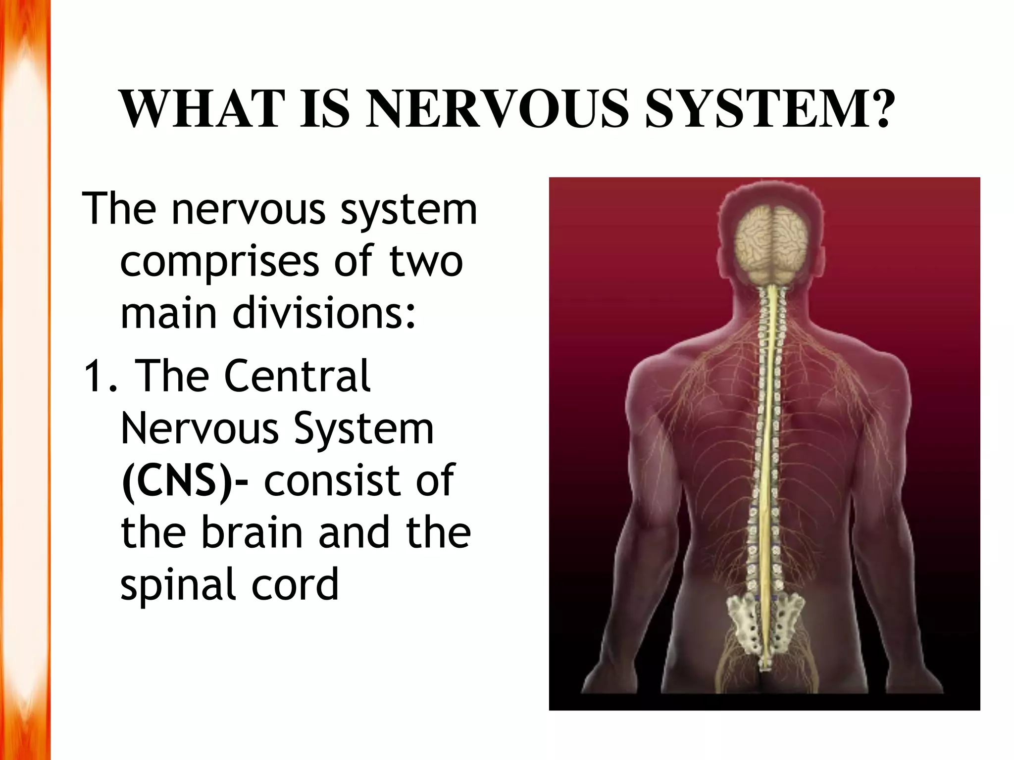 Biological Foundation of Behavior | PDF