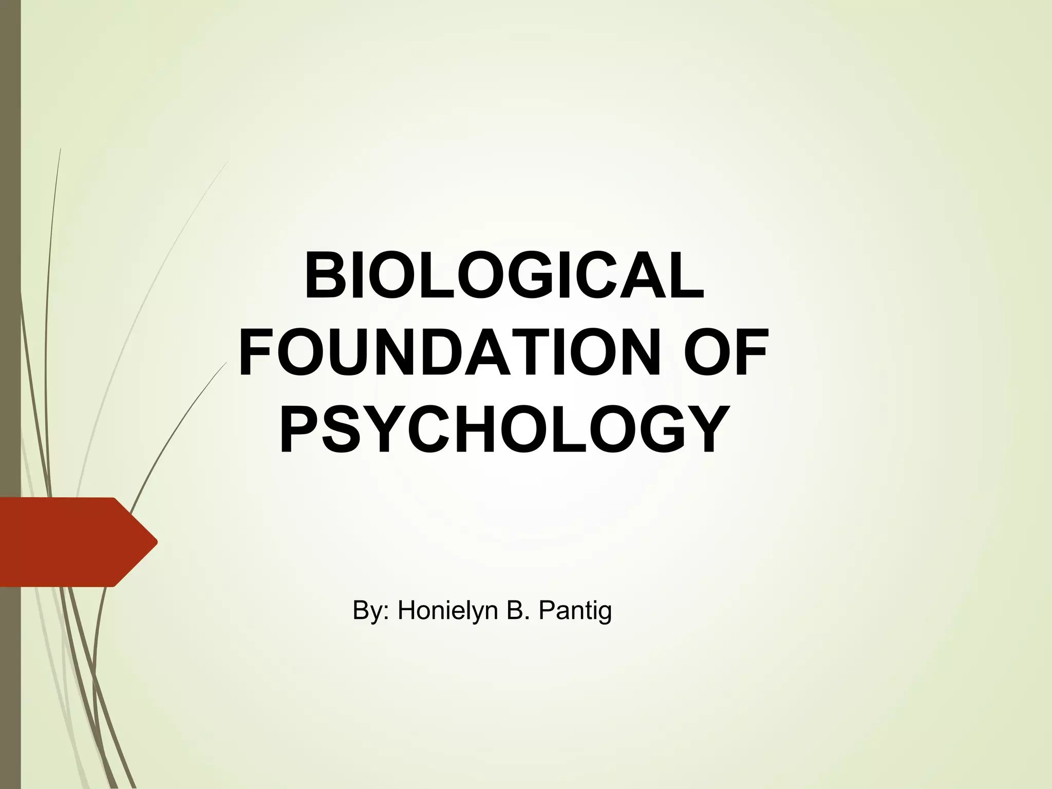 Biological foundation of psychology | PPT