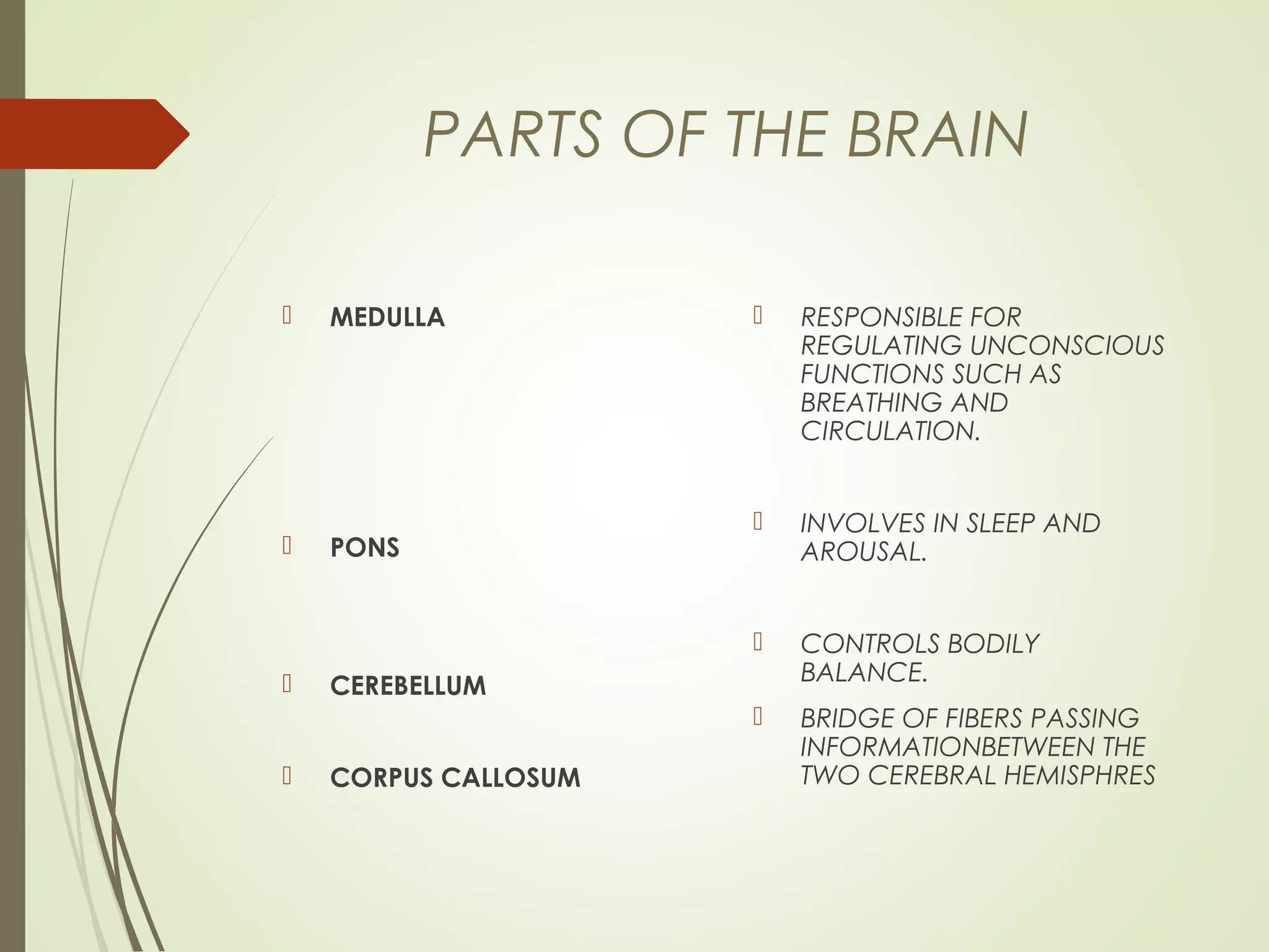 Biological foundation of psychology | PPT