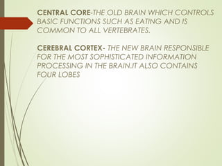 Biological foundation of psychology | PPT