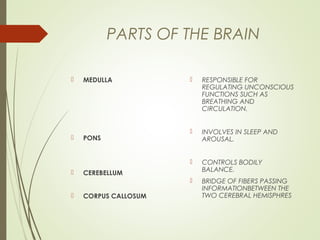 Biological foundation of psychology | PPT
