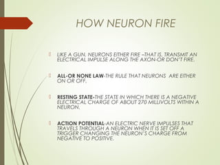 Biological foundation of psychology | PPT