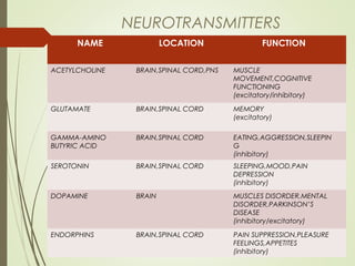Biological foundation of psychology | PPT