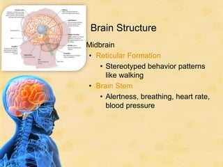 Biological foundations of behavior | PPTX