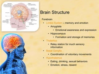 Biological foundations of behavior | PPTX