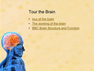 Biological foundations of behavior | PPTX