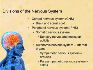 Biological foundations of behavior | PPTX
