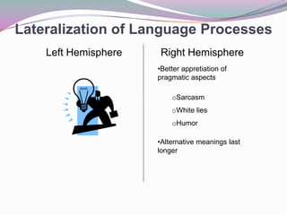 Biological foundations of language | PPTX