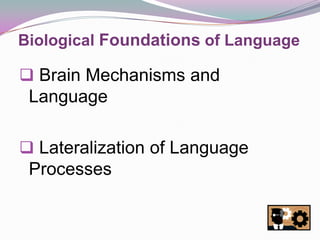 Biological foundations of language | PPTX
