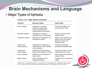Biological foundations of language | PPTX