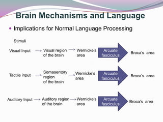 Biological foundations of language | PPTX