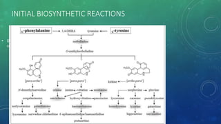 Biological functions of alkaloids | PPTX