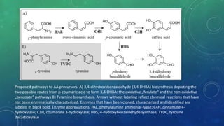 Biological functions of alkaloids | PPT