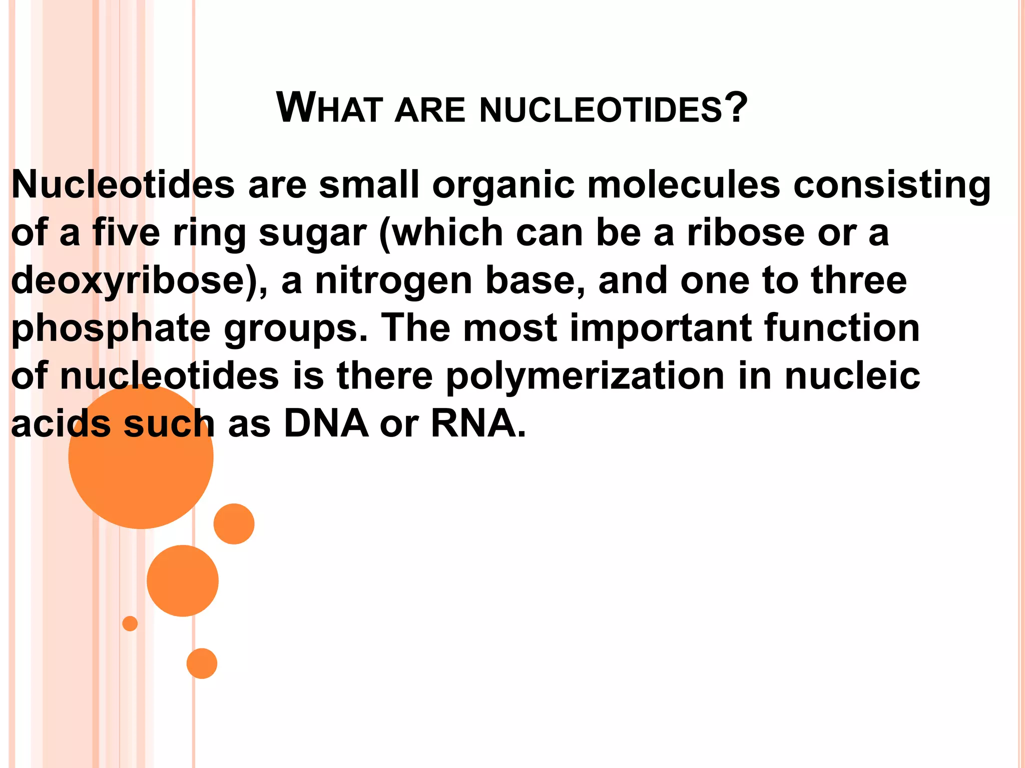 Biological functions of nucleotides | PPTX