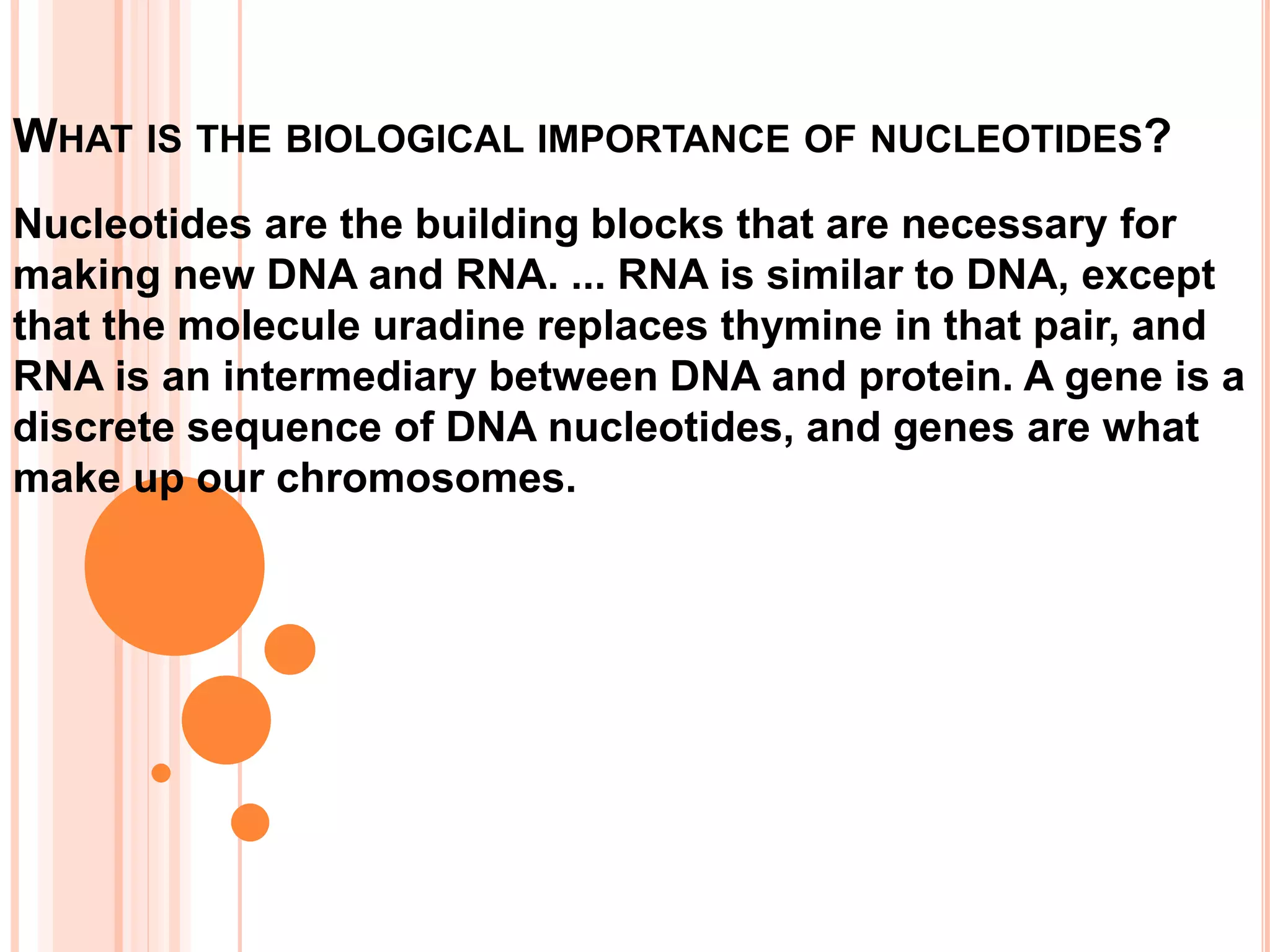 Biological functions of nucleotides | PPTX