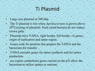 Biological gene transfer | PPTX