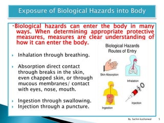 BIOLOGICAL_HAZARDOUS.pptx | Infectious Diseases | Diseases and Conditions