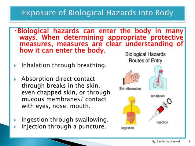 BIOLOGICAL_HAZARDOUS.pptx | Infectious Diseases | Diseases and Conditions