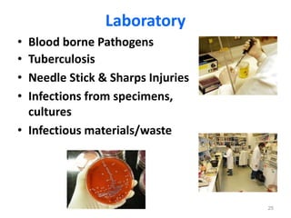 Biological Hazards - Arnold.ppt