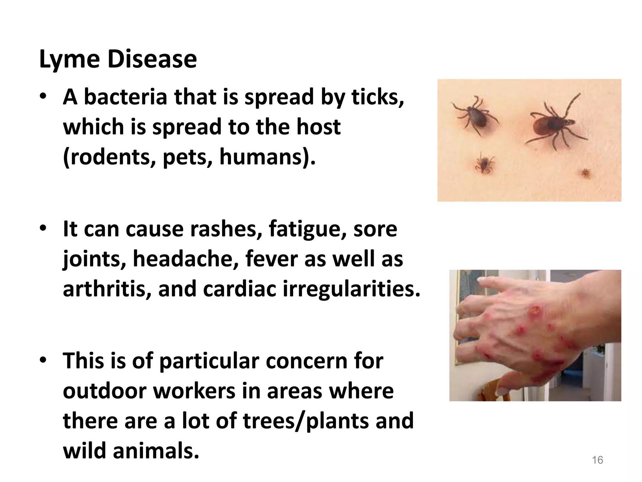 Biological Hazards - Arnold.ppt