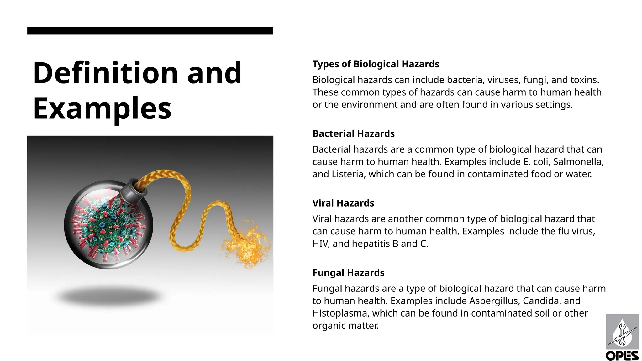 Biological Hazards at Workplace 26092024.pptx
