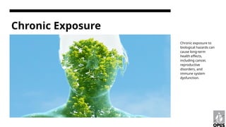 Biological Hazards at Workplace 26092024.pptx