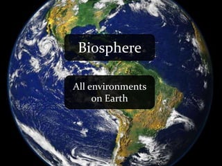 Biological hierarchy v.2 | PPTX