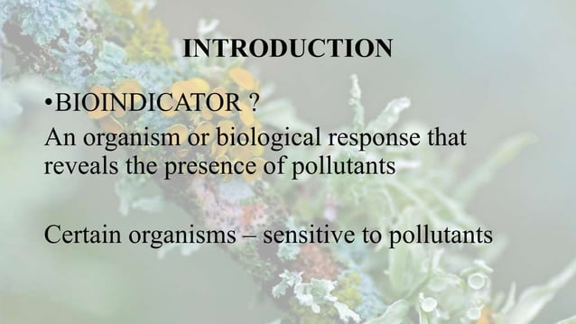 BIOLOGICAL INDICATOR OF AIR POLLUTION.pptx | Chemistry | Science