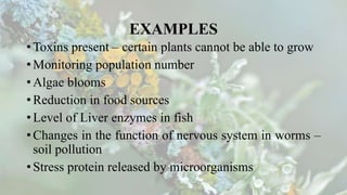 BIOLOGICAL INDICATOR OF AIR POLLUTION.pptx