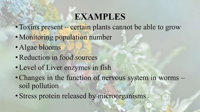 BIOLOGICAL INDICATOR OF AIR POLLUTION.pptx | Chemistry | Science