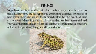 BIOLOGICAL INDICATOR OF AIR POLLUTION.pptx