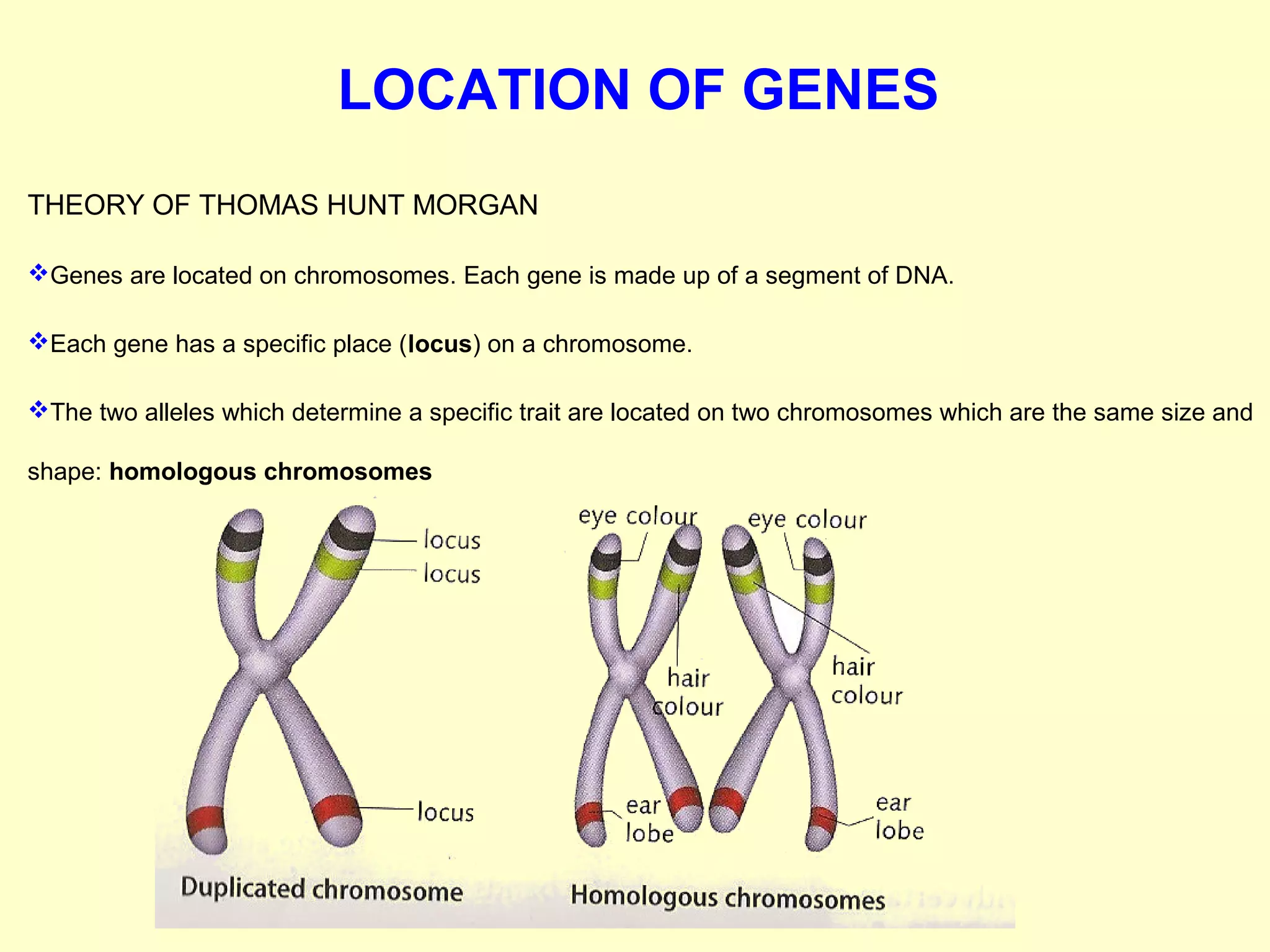 Biological inheritance | PPT