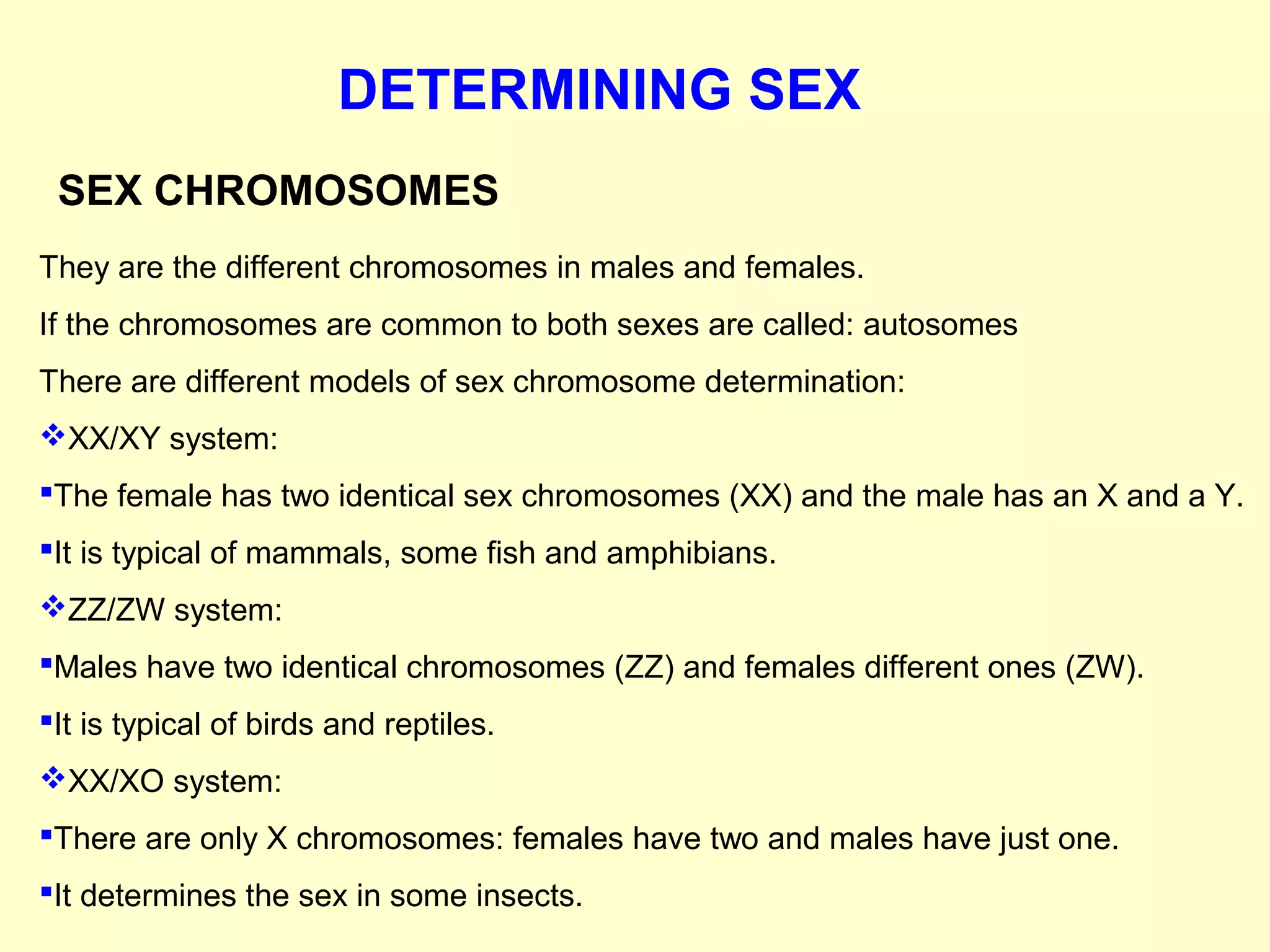 Biological inheritance | PPT