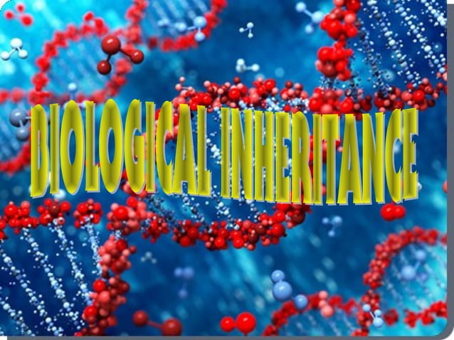 Biological inheritance | PPT