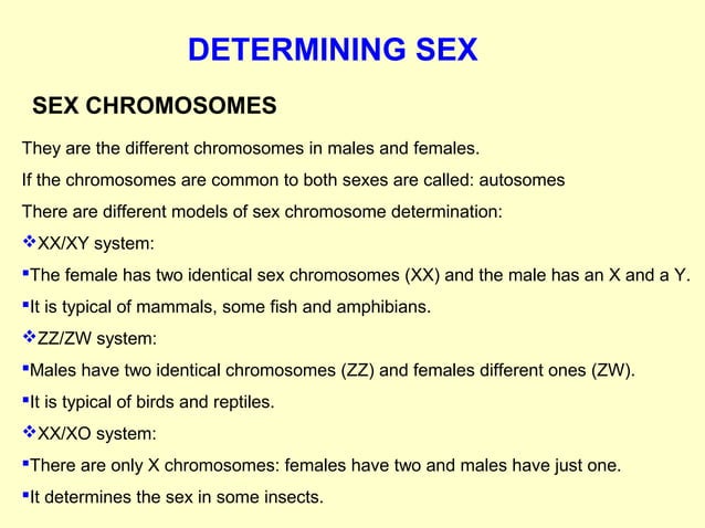 Biological inheritance | PPT
