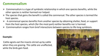Biological interactions | PPTX