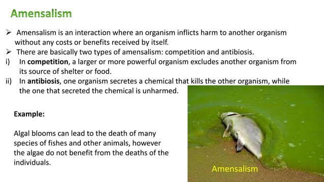 Biological interactions | PPTX