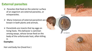 Biological interactions | PPTX
